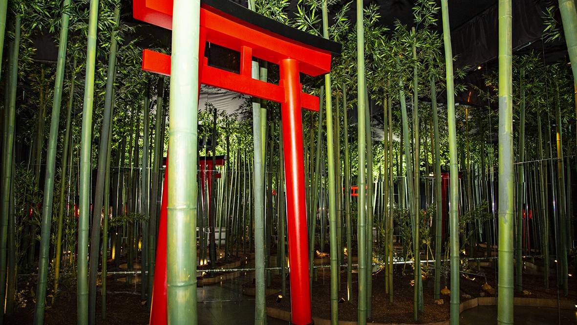 Ikono, una experiencia inmersiva para los sentidos – Hoy Madrid