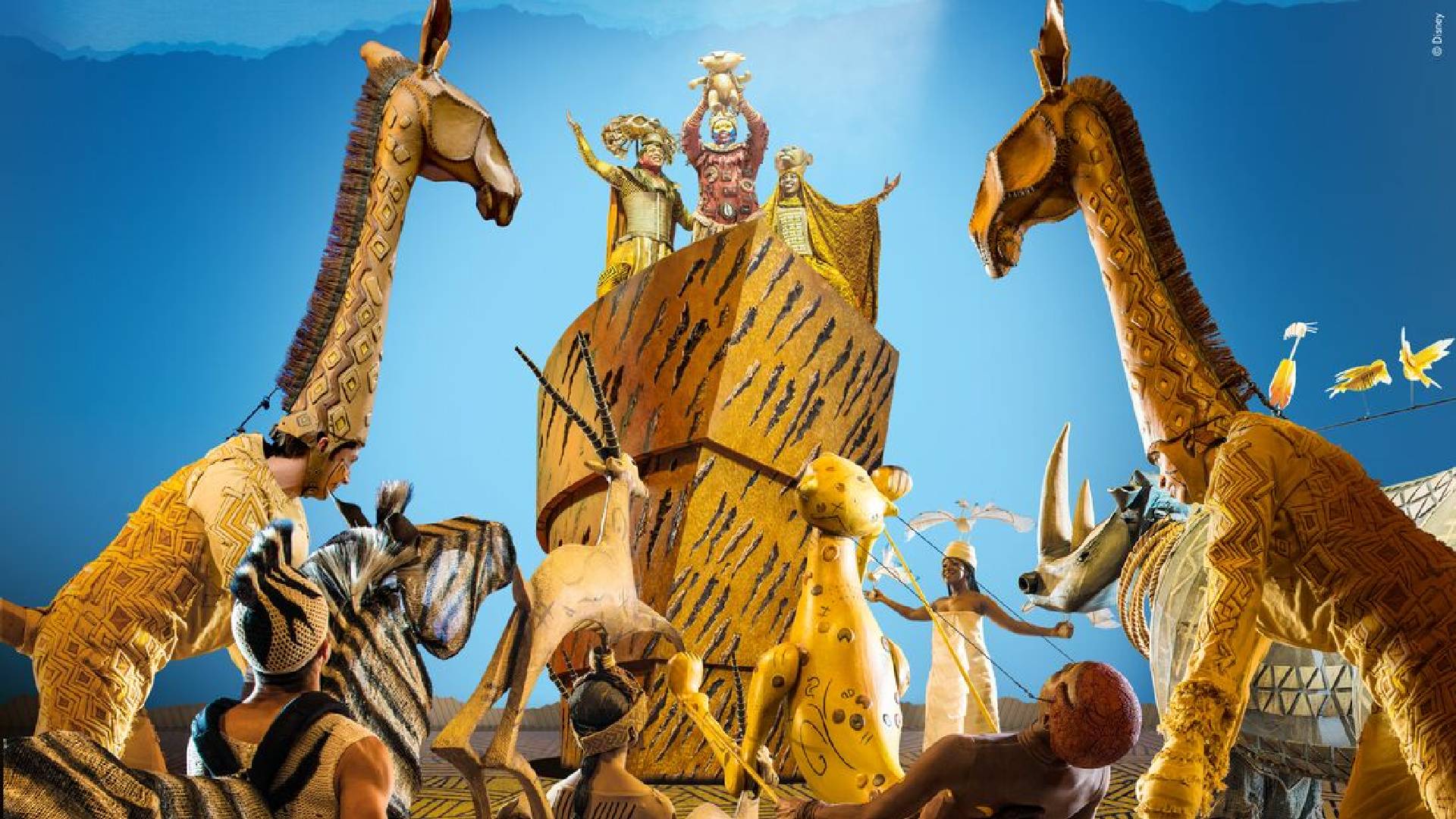 El Rey León: el musical que sigue emocionando en Madrid – Hoy Madrid